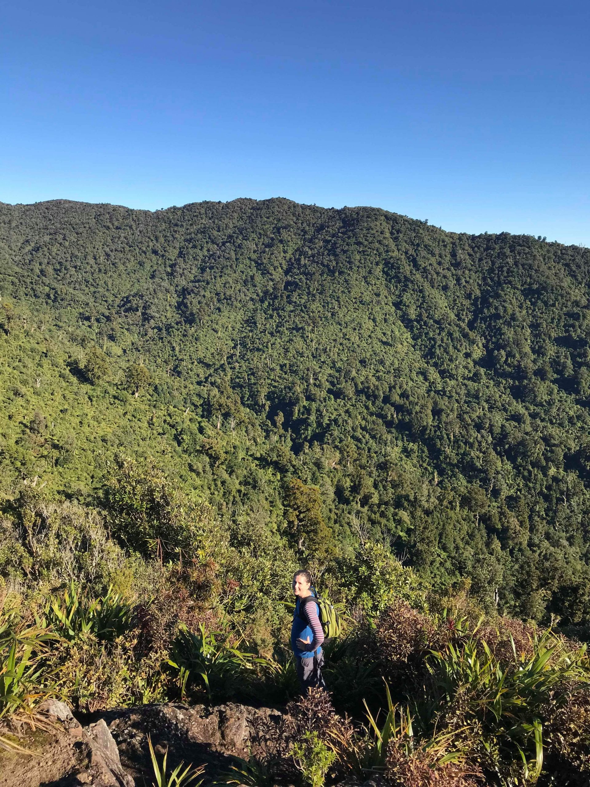 Emerald Ecology – Ecological Consultant